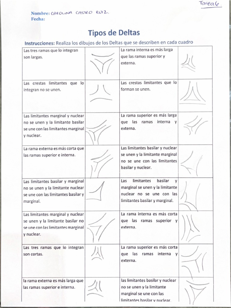 Tipos de Deltas | PDF