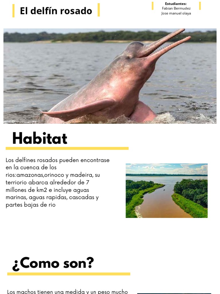 El Delfín Rosado | PDF