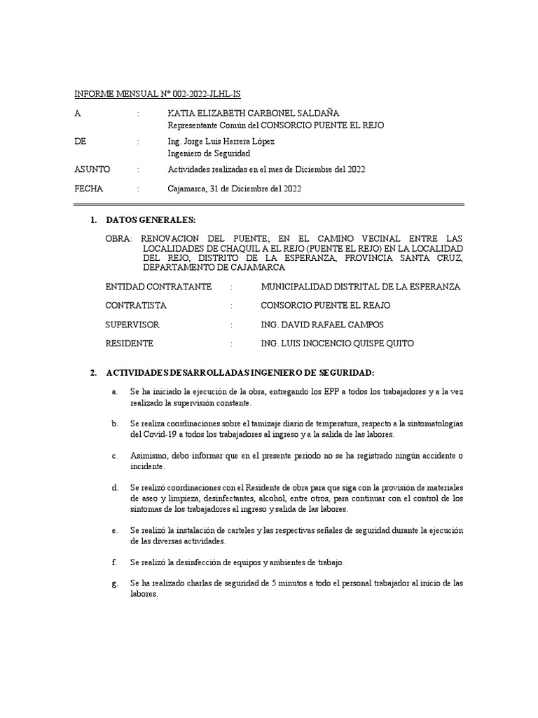 Informe Ing. Seguridad | PDF