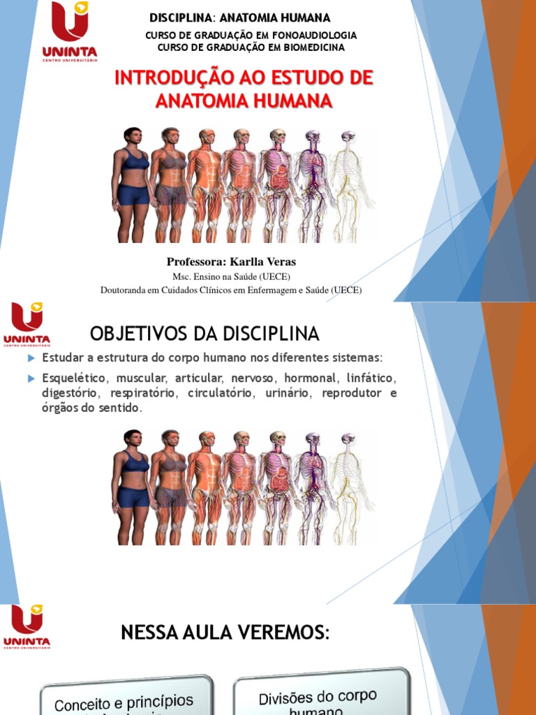 Aula 01 Uninta Introdução A Anatomia Pdf Pdf Anatomia Corpo Humano