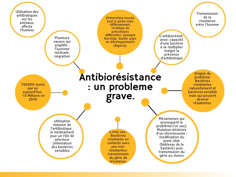 Antibiorésistance Un Probleme Grave. | PDF | Résistance aux ...