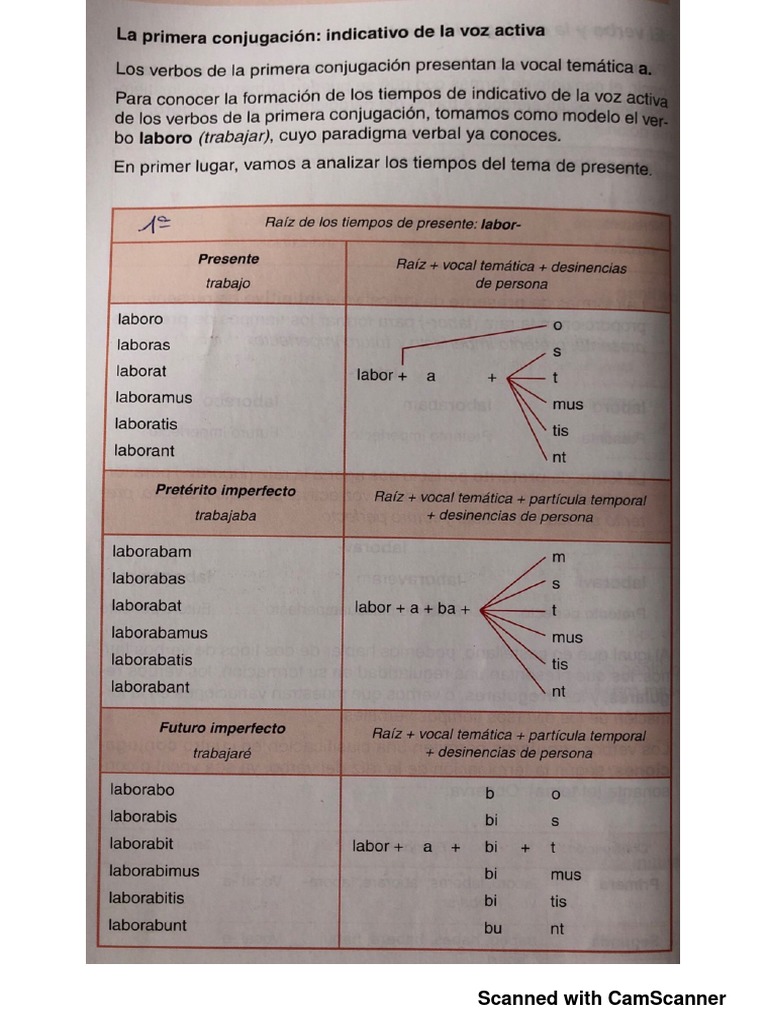 gramática verbal latin | PDF