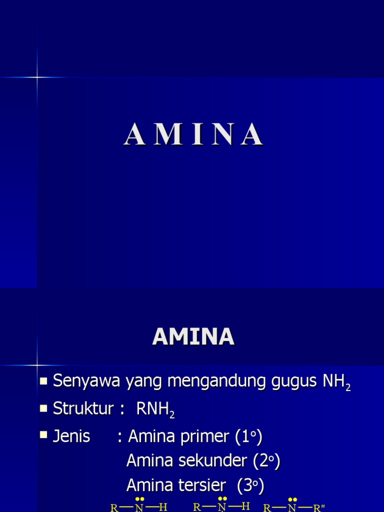 Amina | PDF