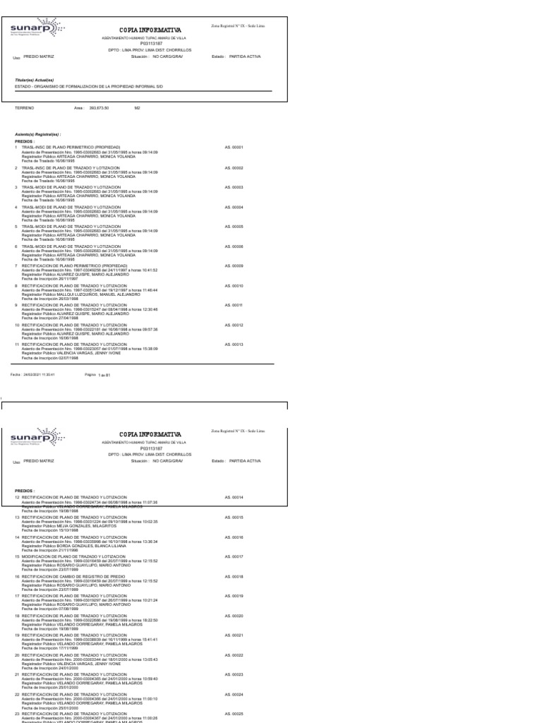 3) P03113187 Matriz Tupac Amaru 2021 | PDF | Lima