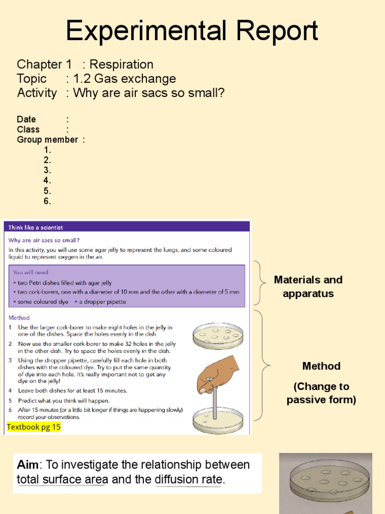 Experimental Report - CHP 1 (Why Are Air Sacs So Small - ) | PDF | Diffusion | Lung