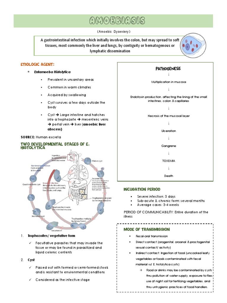 Amoebiasis | PDF | Microbiology | Diseases And Disorders