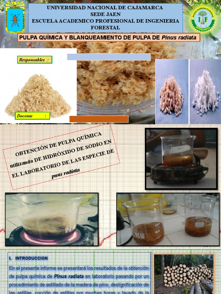 Pulpa Química y Blanqueo de Pinus | PDF | Papel de pulpa) | Peróxido de ...