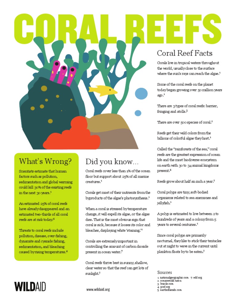Coral Reefs: Biodiversity and Threats | PDF