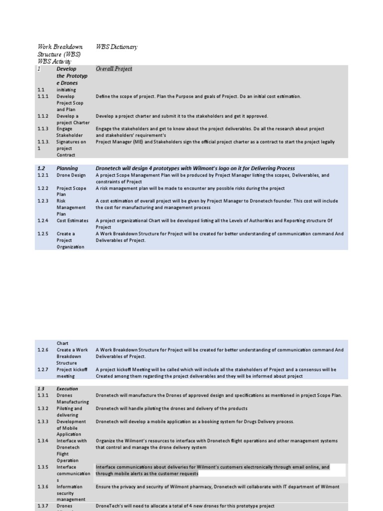 Developing Prototype Drones for Drug Delivery: A Work Breakdown Structure and Project Plan | PDF ...