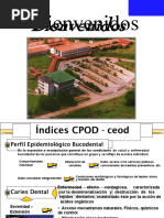 Indice Cpod y Ceo Dental | PDF | Diente | Odontología
