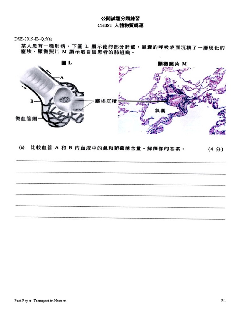 CH08 人體物質轉運 | PDF