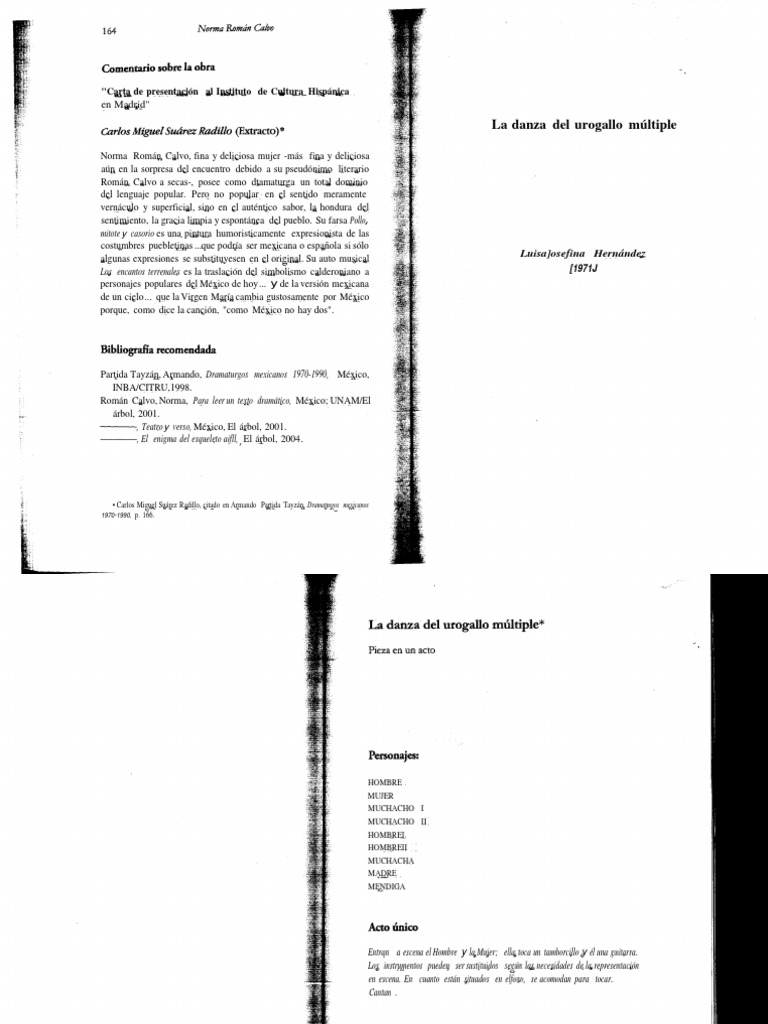 Carta de Presentación: Norma Román Calvo | PDF | México