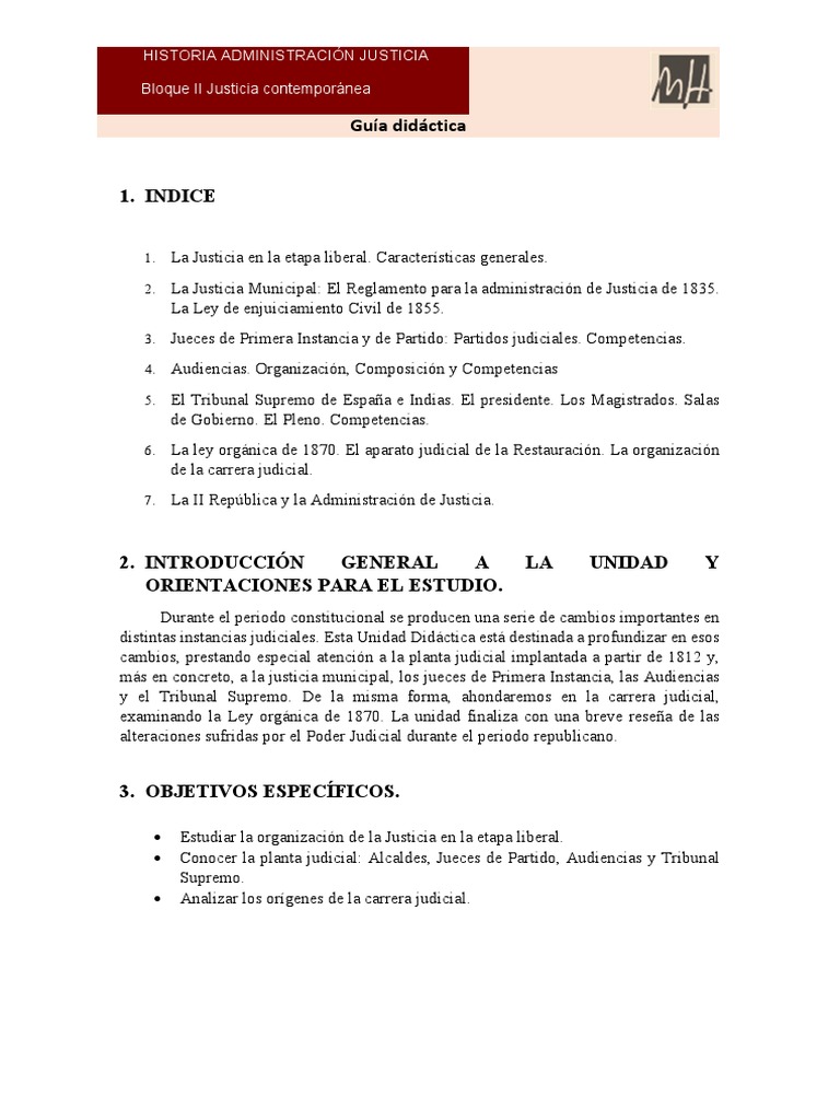 Bloque II. Justicia Constitucional | PDF | Judicaturas | Juez