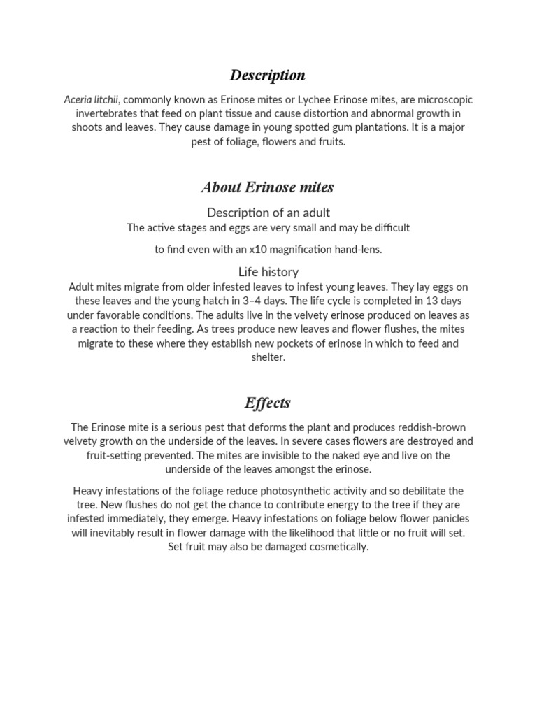 Aceria Litchii (Erinose Mite) | PDF | Trees | Leaf