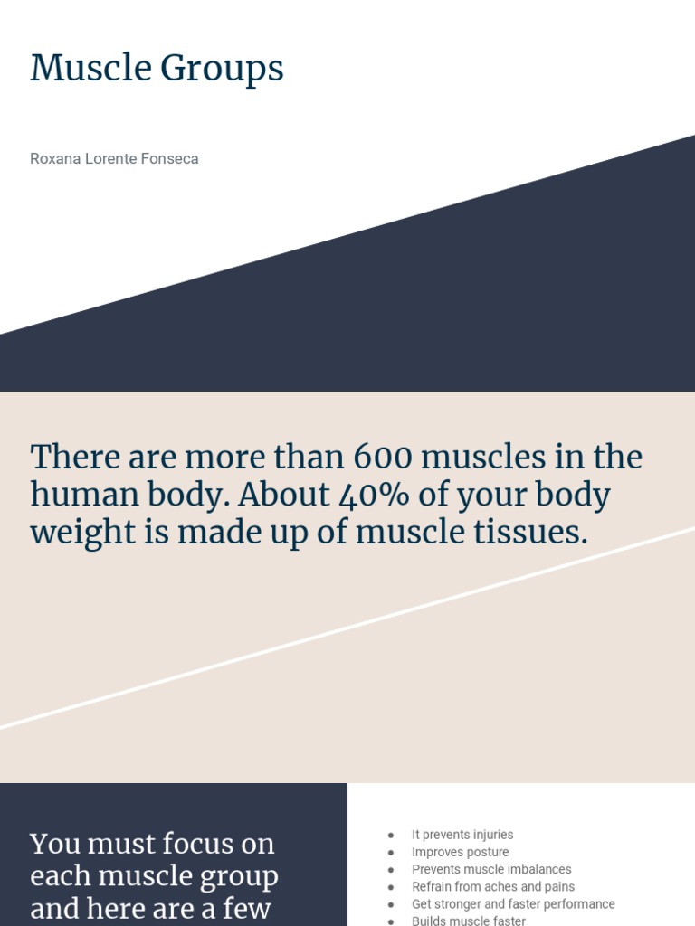 Muscle Groups | PDF | Pelvis | Shoulder