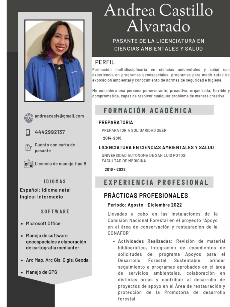 CV Andrea Castillo | PDF