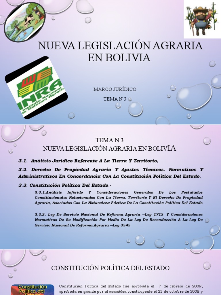 TEMA 3 - Nueva Legislación Agraria en Bolivia | PDF | Constitución ...