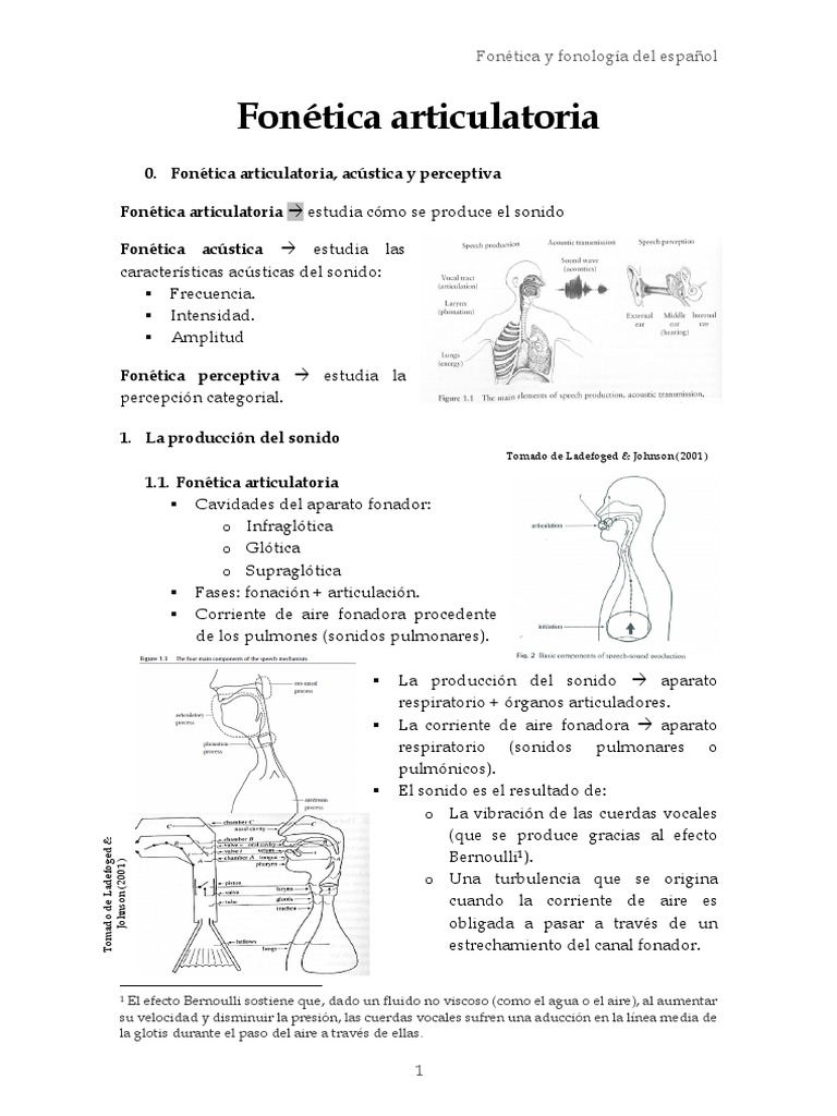 Tema 2. Fonética Articulatoria | PDF | Fonética | Sonido