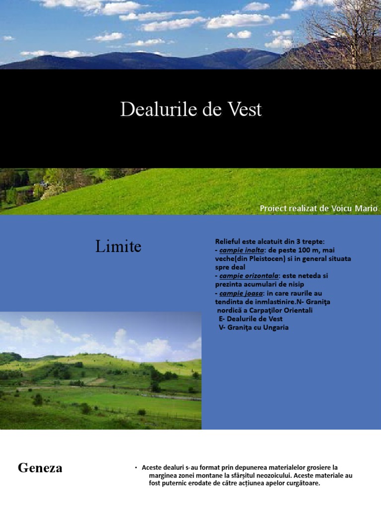 Presentation 8 | PDF