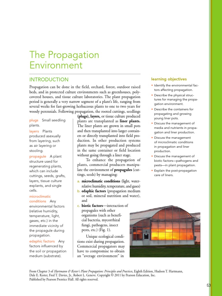 The Propagation Environment | PDF | Greenhouse | Light
