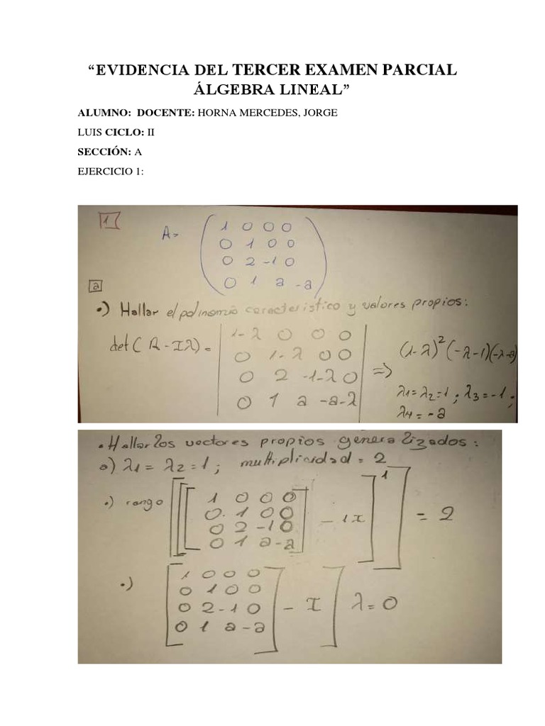 Tercer Examen Parcial | PDF