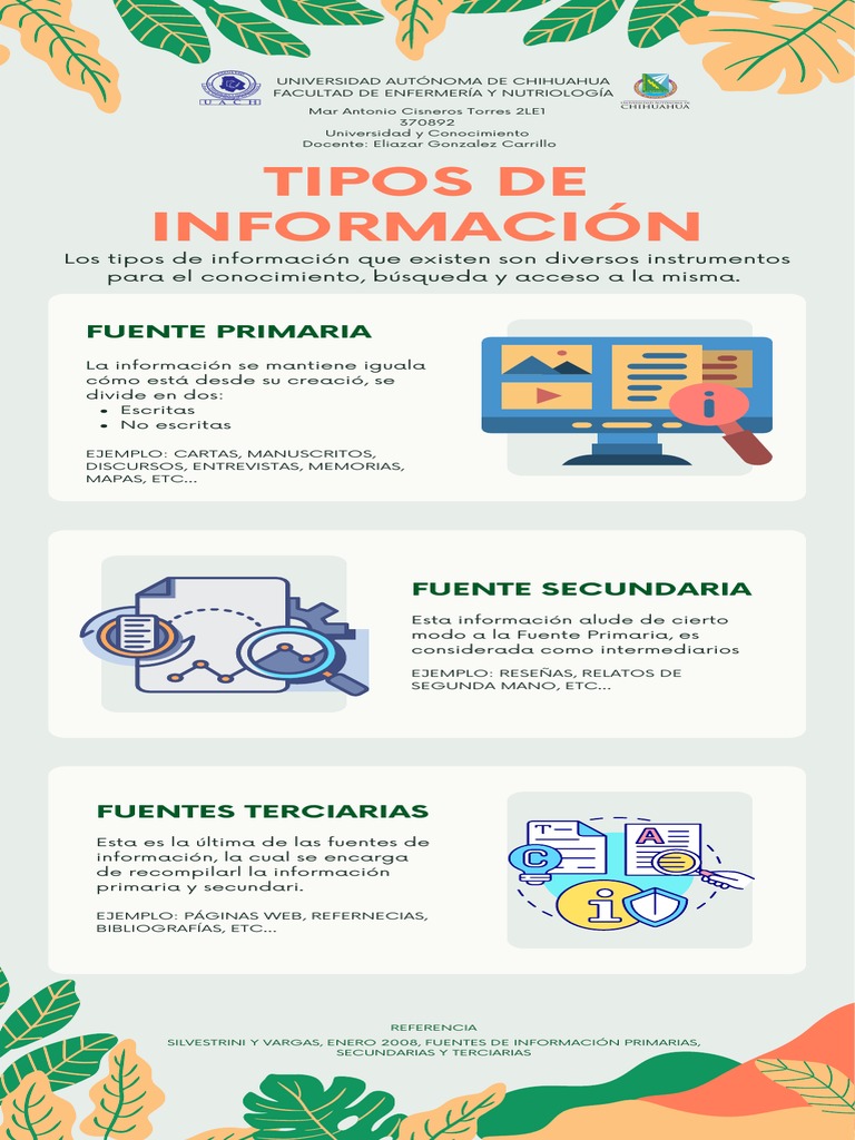 Infografía - Tipos de Información | PDF