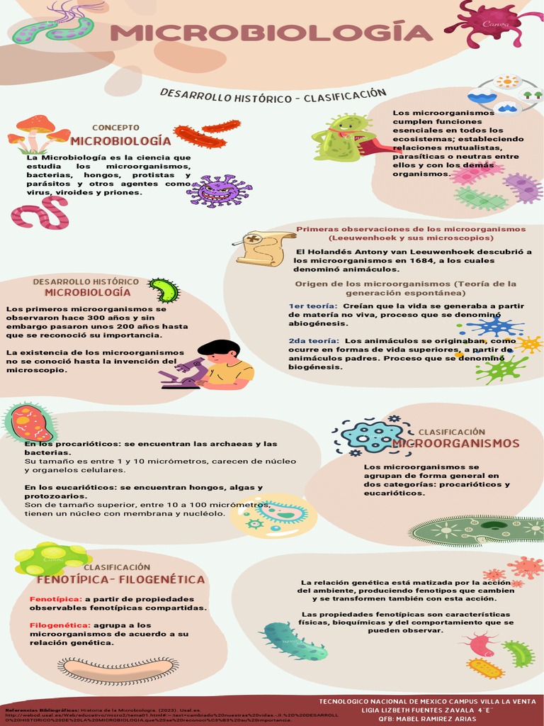 Infografia Microbiologia | PDF | Microorganismo | Microbiología
