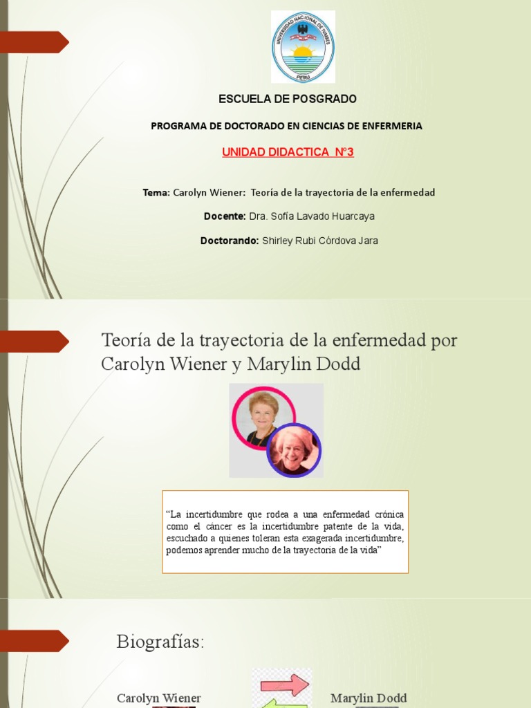 Trayectoria de La Enfermedad - Rubi Córdova Jara | PDF | Epilepsia ...