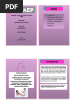 Place Diada Fetal | PDF | El embarazo | Parto