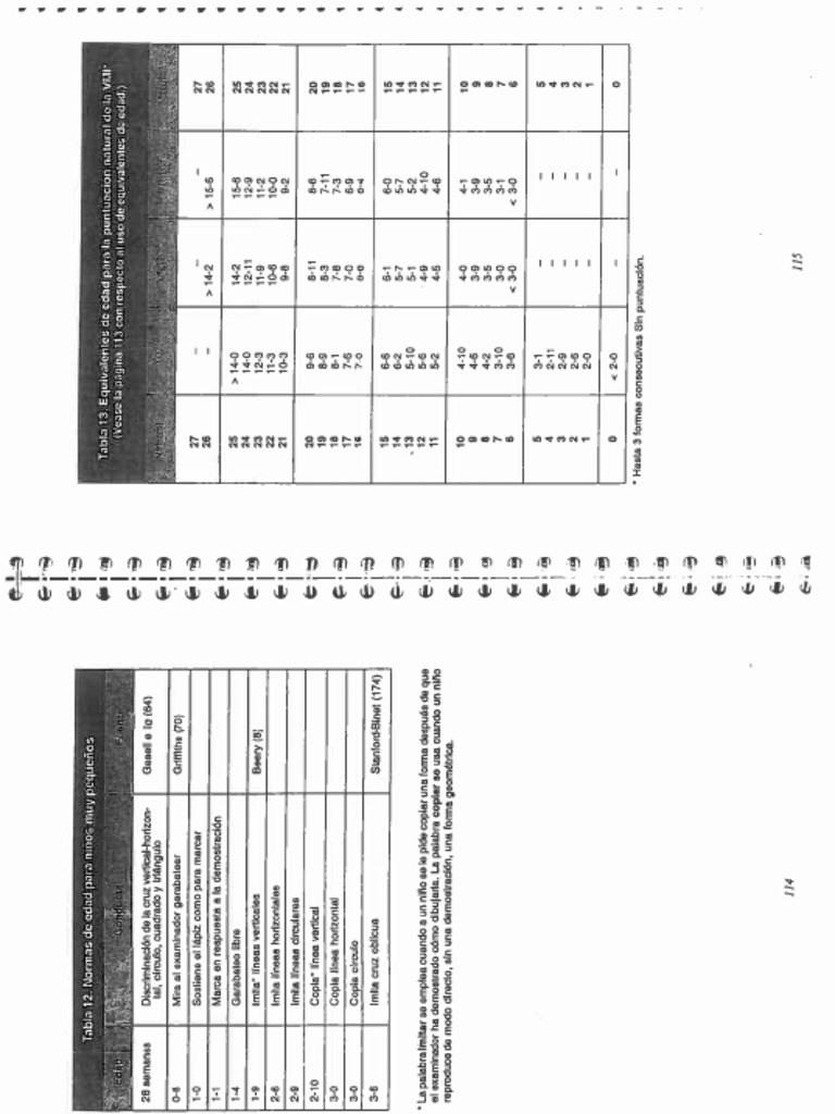 Puntuaciones VMI | PDF