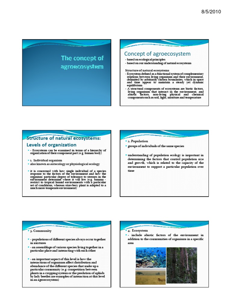 3. the Concept of Agroecosystem | Food Web | Ecosystem