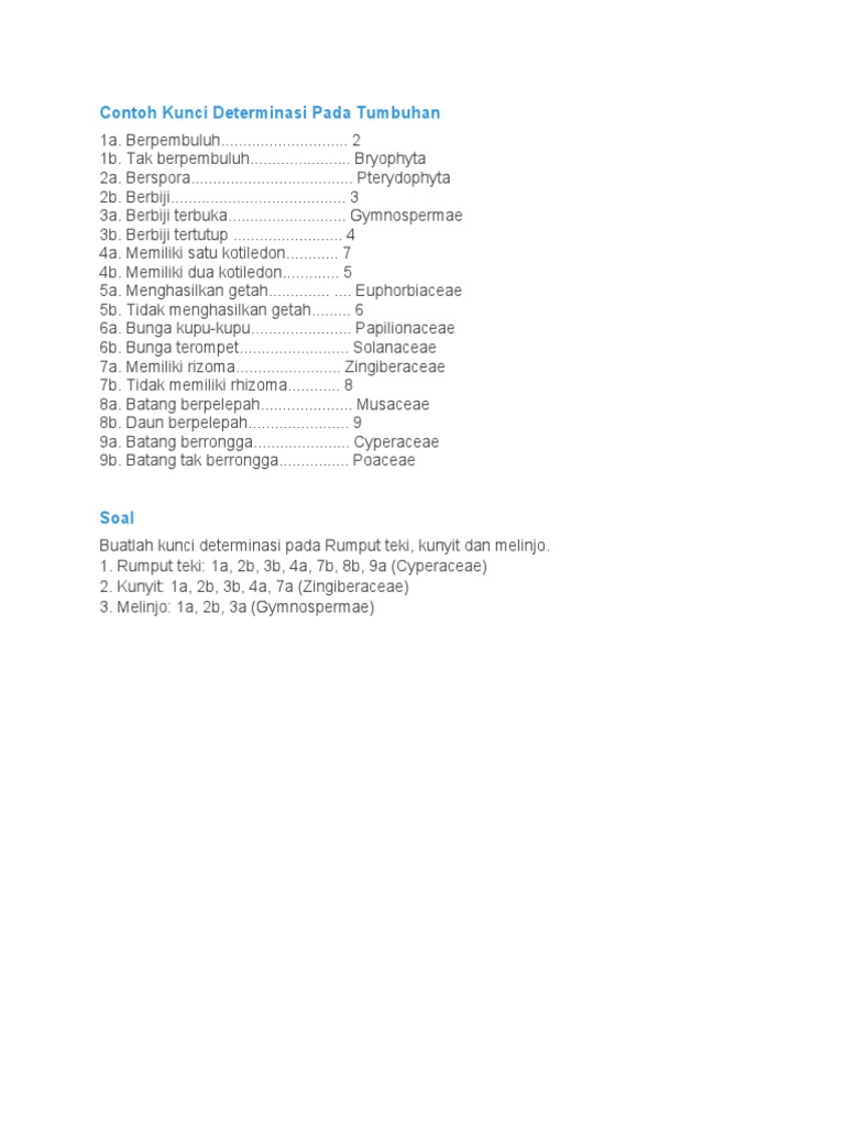 Contoh Kunci Determinasi Pada Tumbuhan | PDF