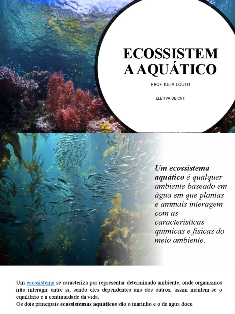 Ecossistema Aquático | PDF | Ecossistema aquático | Ecossistema