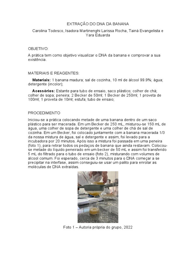 Relatório DNA Da Banana | PDF | DNA | Química