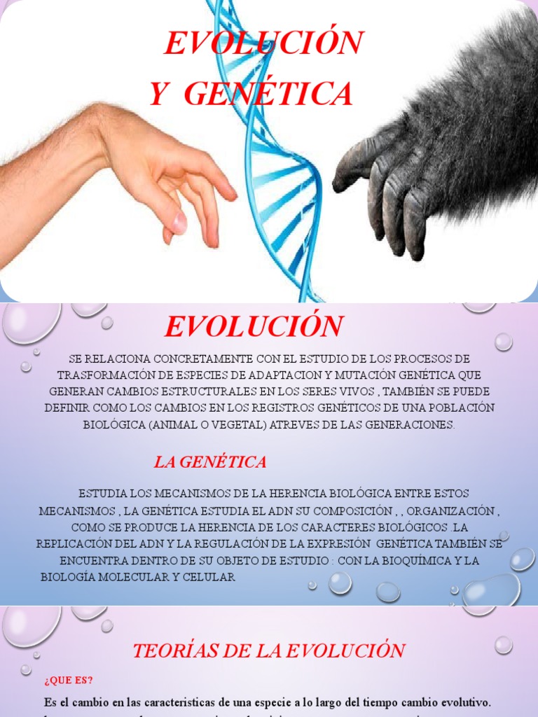Evolucion y Genetica | Descargar gratis PDF | Evolución | Biología