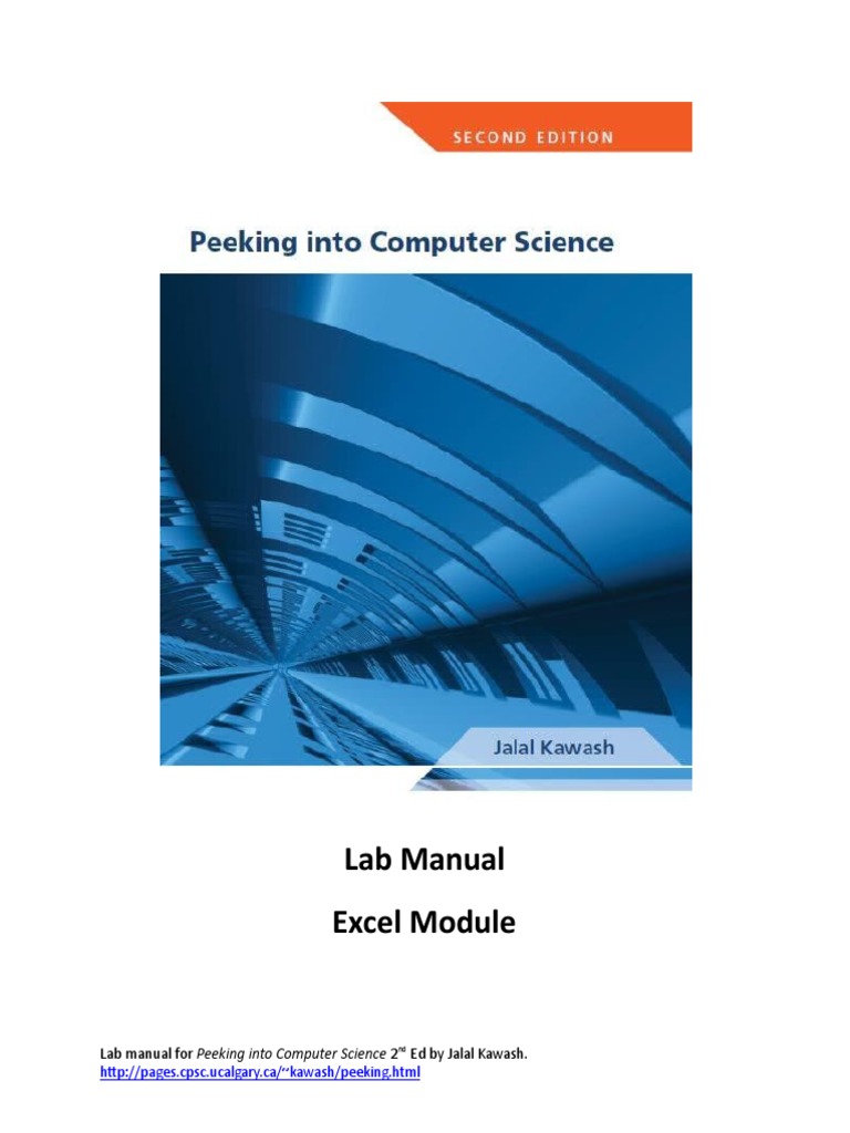 Excel Lab 3 | PDF | Summation | Color