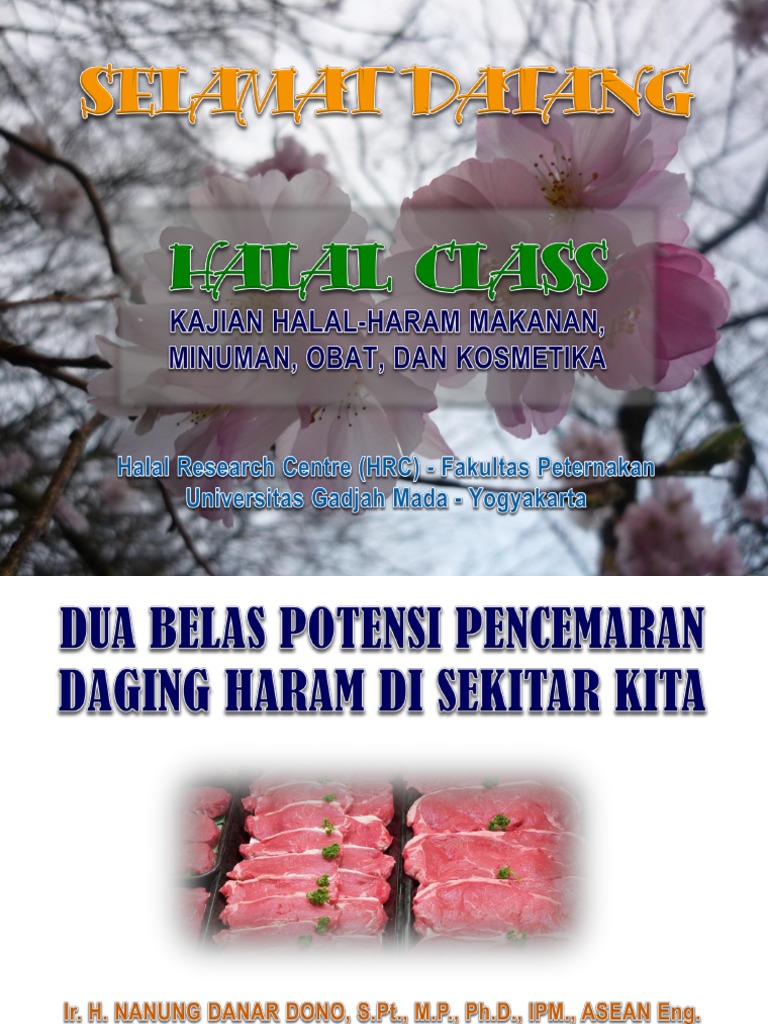 NDD Materi Halal 5. Dua Belas Potensi Pencemaran Daging Haram Di ...