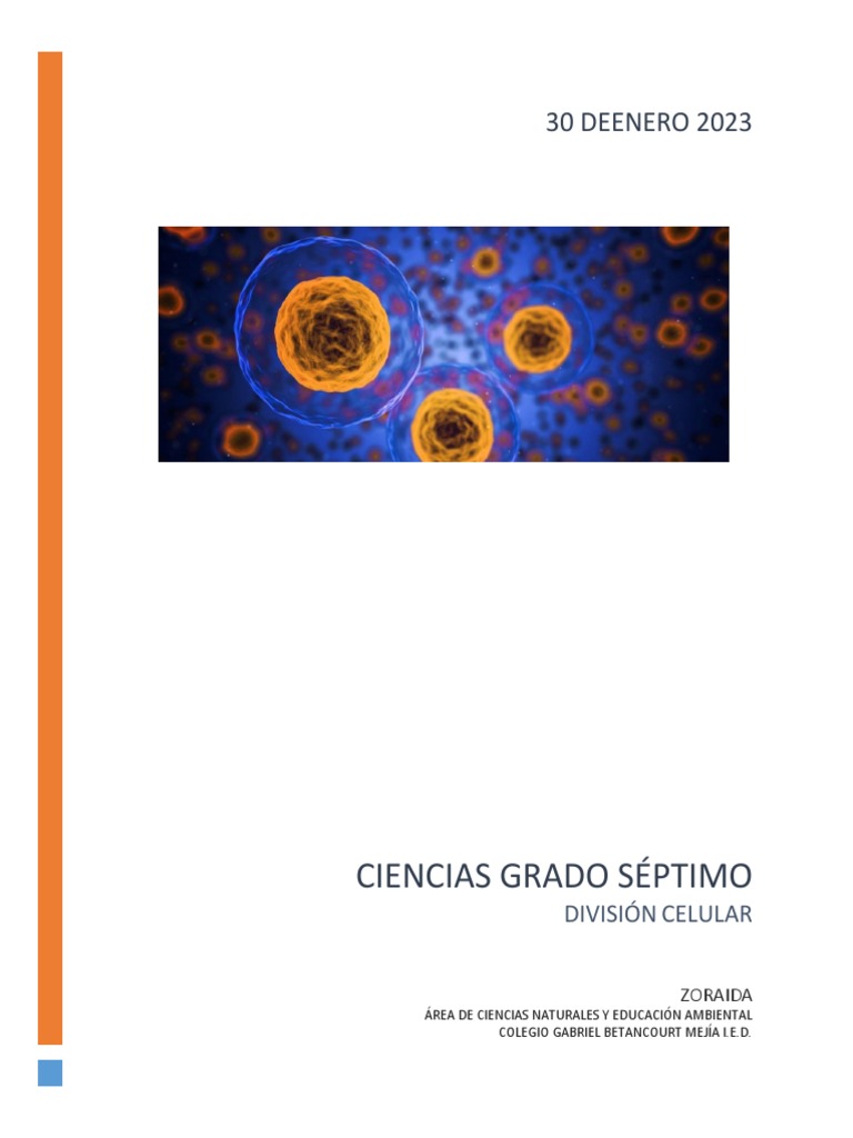 División Celular en Séptimo Grado | PDF | Mitosis | Mitosis