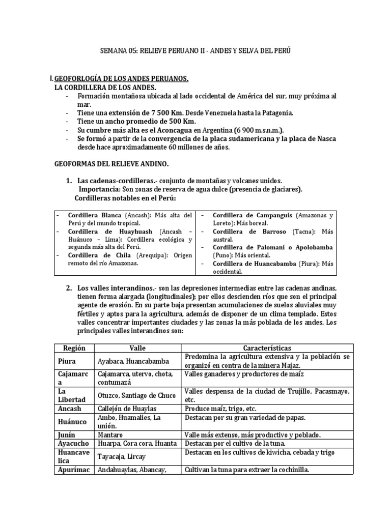 Relieve Andino y Selva Peruana | PDF | Andes | Perú