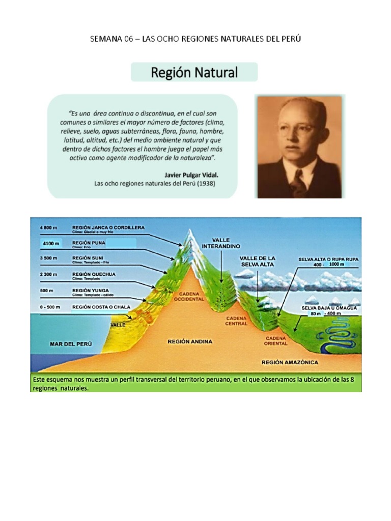 Un análisis de las ocho regiones naturales del Perú | PDF | Clima | Perú