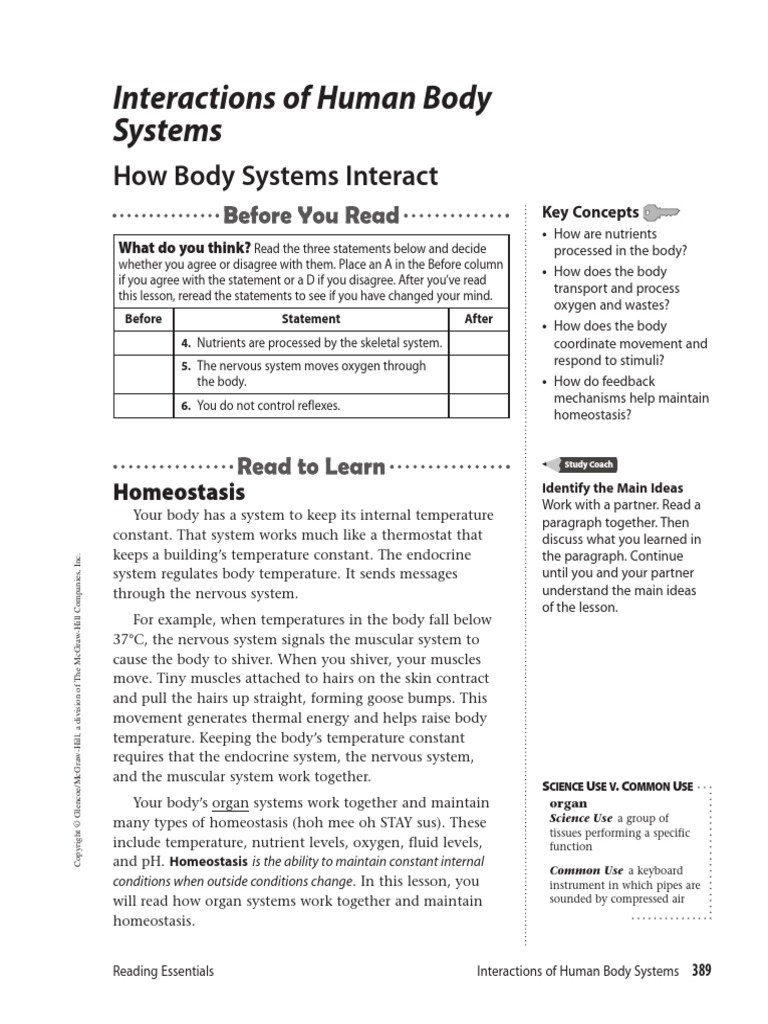 (Owls) Reading Essentials c.21-2 How Body Systems Interact | PDF ...
