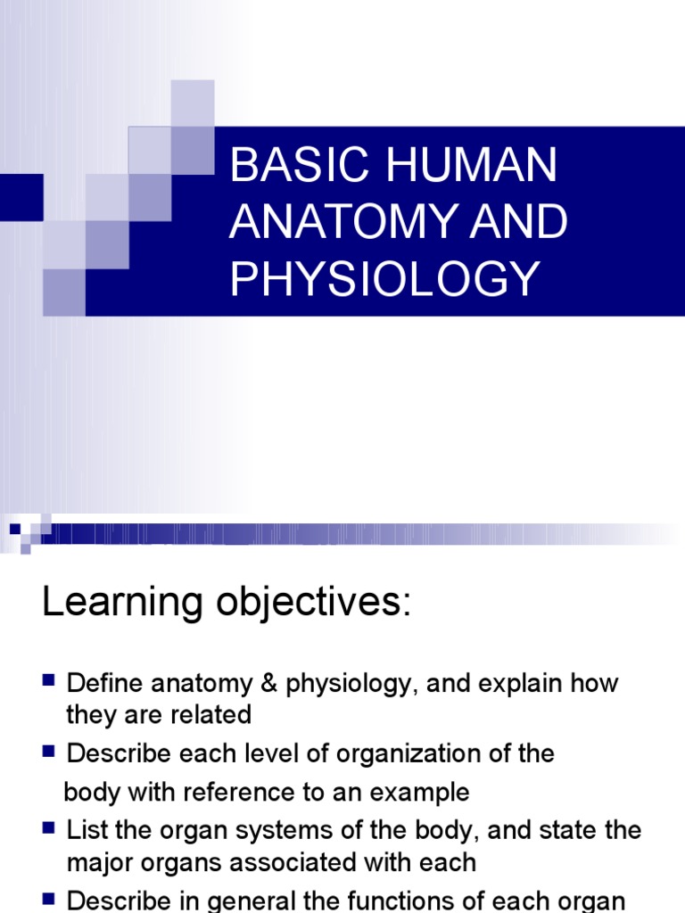 Basic Human Anatomy and Physiology | PDF | Human Body | Homeostasis