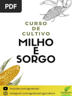 Concorde ICL Brazil | PDF | Agricultura