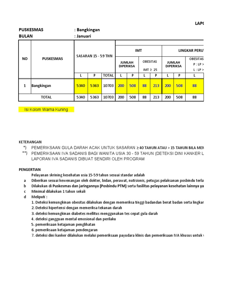 Laporan Pelayanan Kesehatan Usia Produktif Puskesmas Bangkingan | PDF
