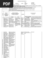 Planificación de CCNN | PDF | Aprendizaje | Reproducción