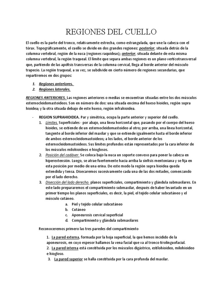 Regiones Del Cuello | PDF | La columna vertebral | Anatomía humana