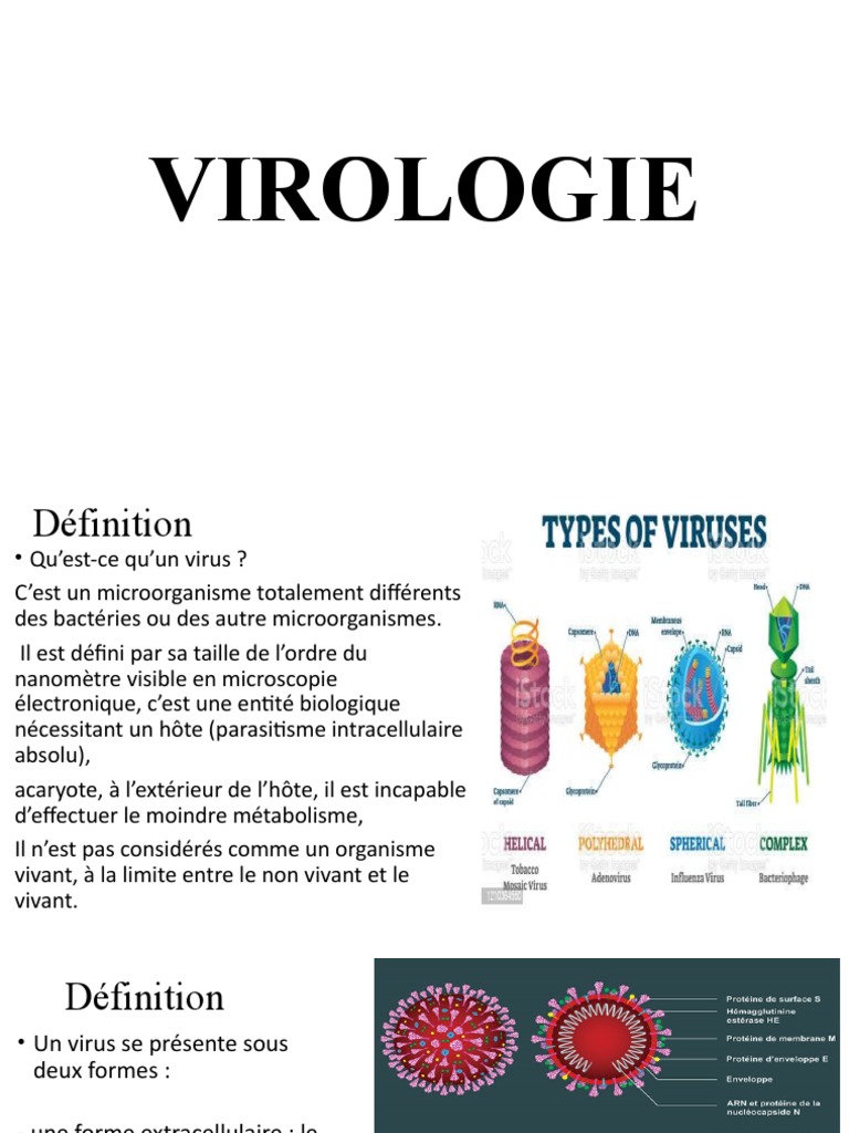 Virologie | PDF | Virus | Cellule (Biologie)