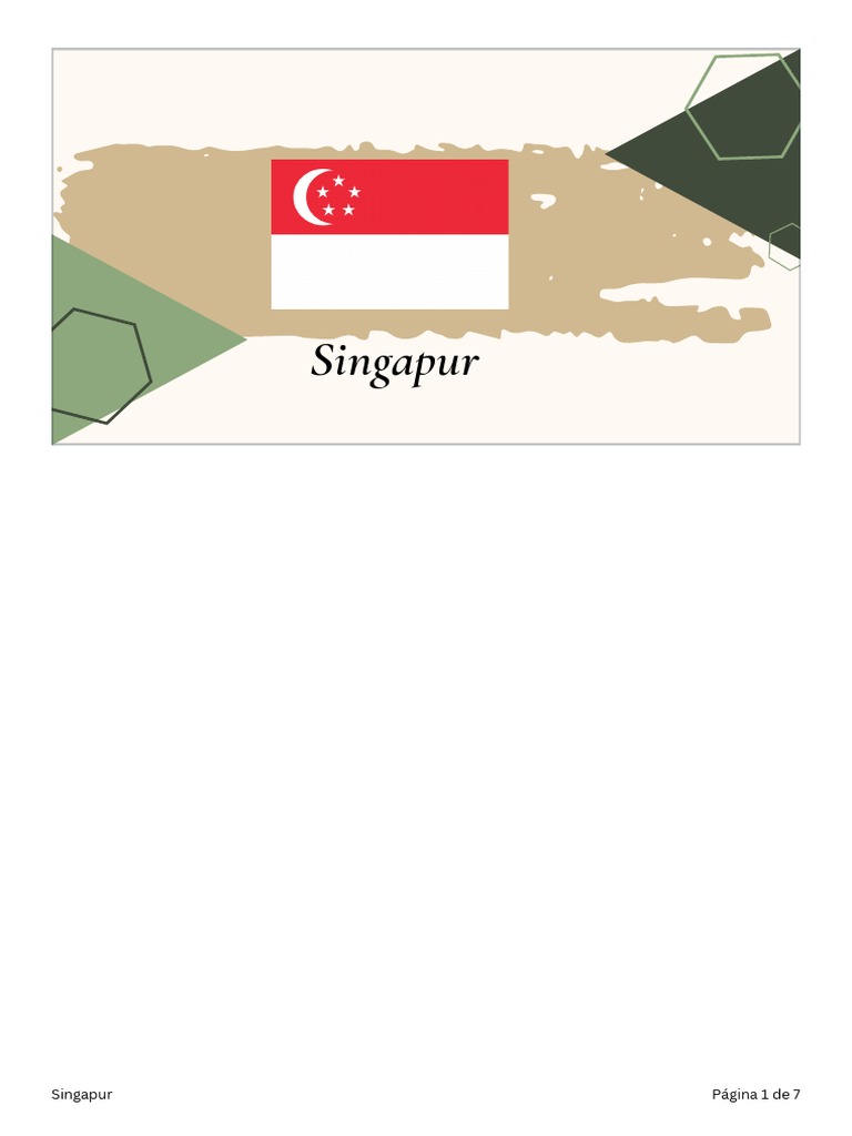 Transporte Eficiente en Singapur | PDF | Transporte | Singapur