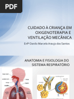 Prática OXIGENOTERAPIA | PDF | Sistema respiratório | Oxigênio