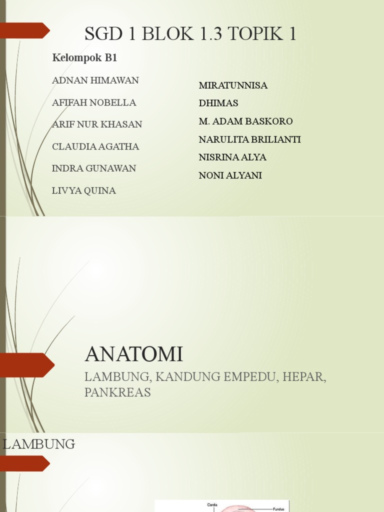 Kelompok B1 SGD 1 Blok 1.3 | PDF